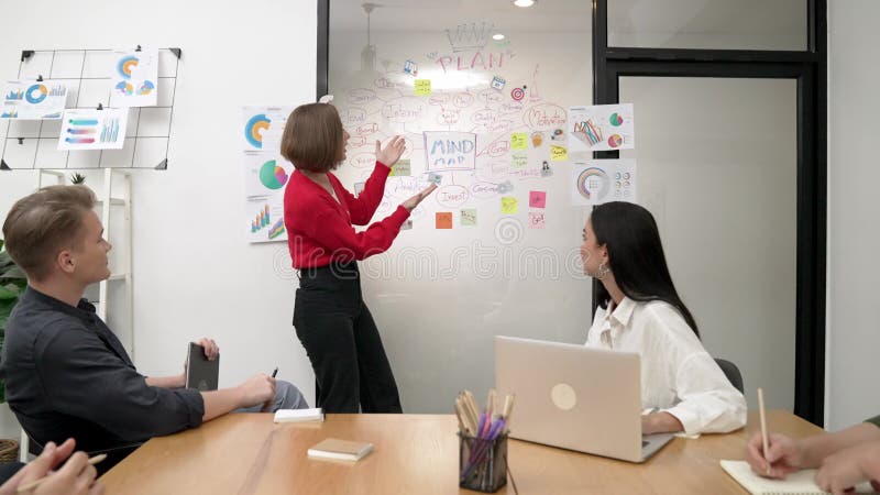 Young Beautiful Leader Present Business Project with Confident ...