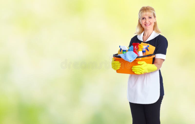 Young beautiful maid. stock image. Image of service, sponge - 89842005