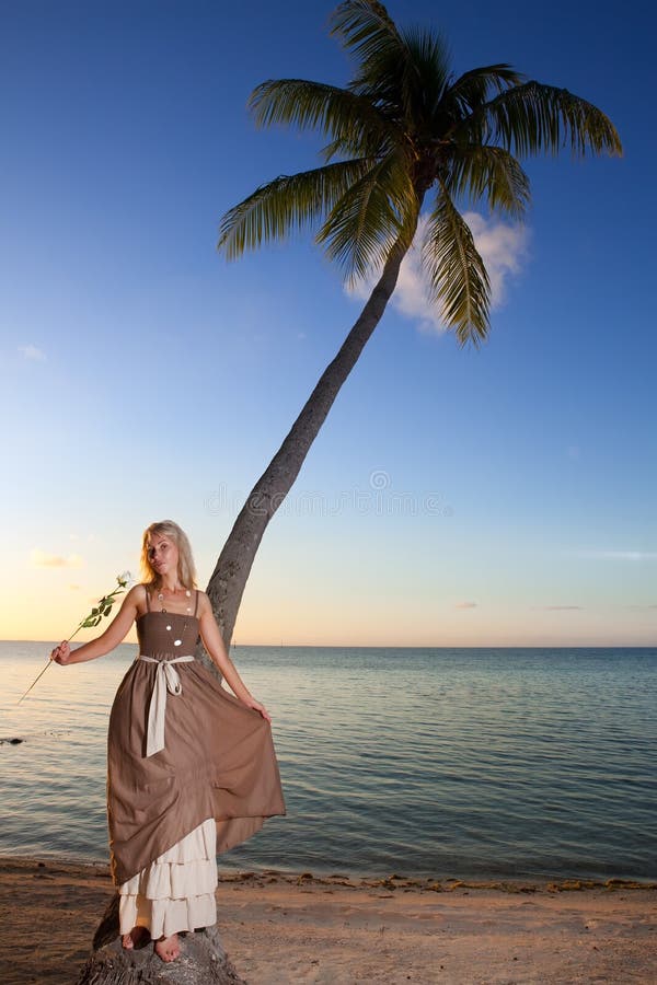 Young Beautiful Woman with a Rose on a Palm Tree on Seacoast. Stock ...