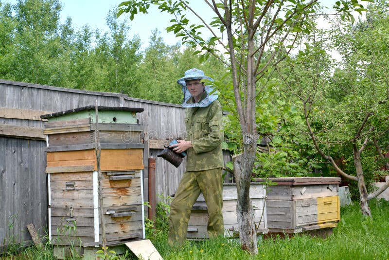 The Young Beekeeper with Dymary on an Apiary Stock Image - Image of ...