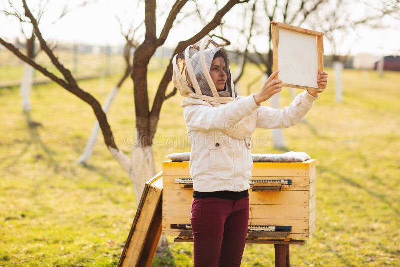 A Young Beekeeper Girl is Working with Bees and Beehives on the Apiary ...