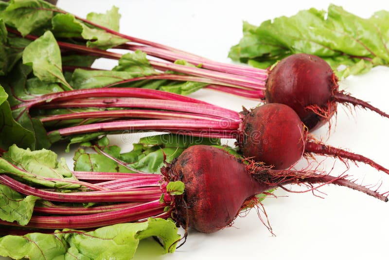 Beet Tops Stock Photos - Download 947 Royalty Free Photos