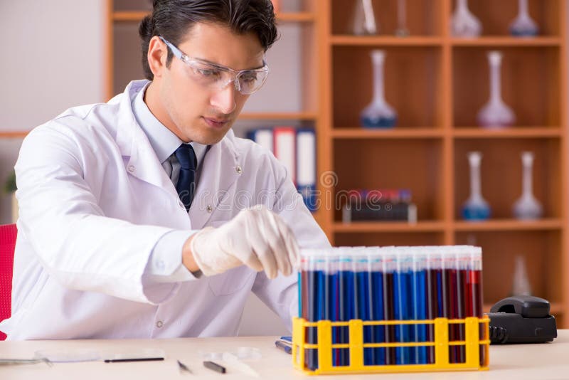 The Young Biochemist Working in the Lab Stock Photo - Image of ...