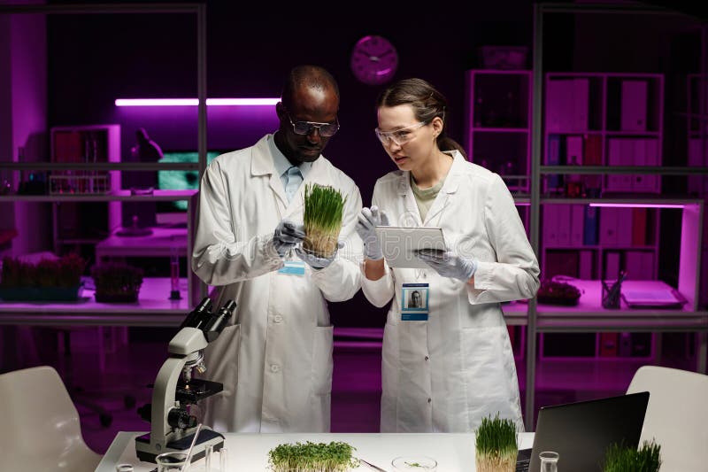 Young Biologists Examining Herb in Laboratory Stock Image - Image of ...