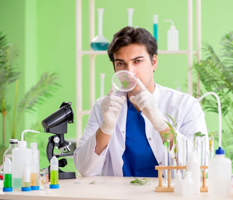 Young Biotechnology Scientist Chemist Working in Lab Stock Photo ...