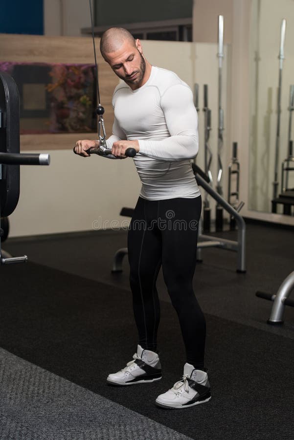 Young Bodybuilder Exercising Triceps on Machine Stock Photo - Image of ...