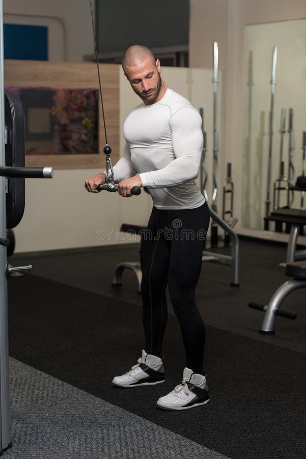 Young Bodybuilder Exercising Triceps on Machine Stock Photo - Image of ...