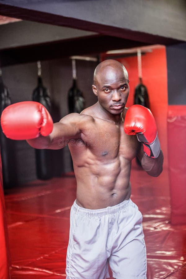 Young Bodybuilder Posing in Front of the Camera Stock Photo - Image of ...