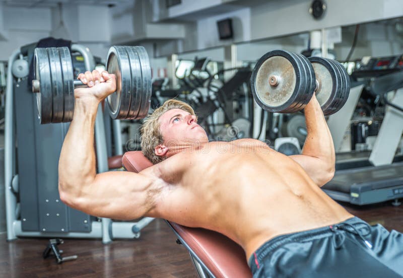 136,303 Young Bodybuilder Stock Photos - Free & Royalty-Free Stock ...