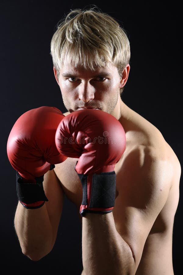 Young boxer stock image. Image of young, unsmiling, punch - 9084795
