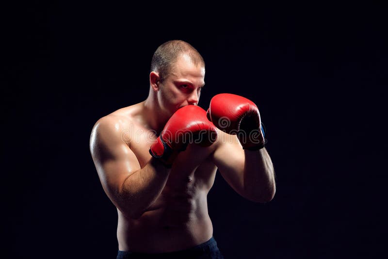 Young Boxer boxing stock photo. Image of healthy, athlete - 55517630