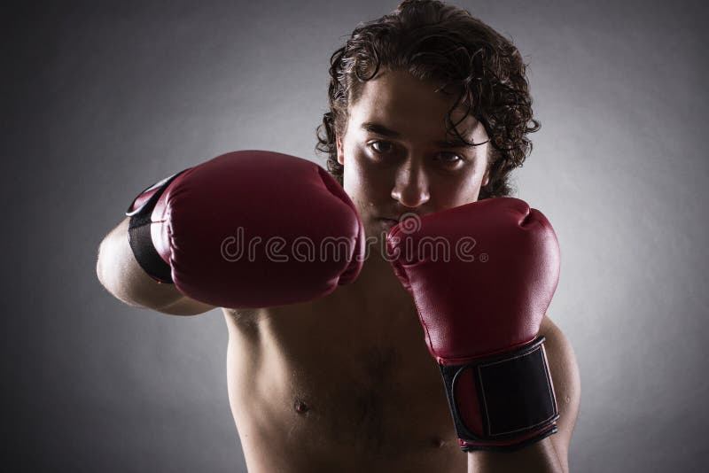 Young Boxer fighter stock photo. Image of hand, fitness - 34619556