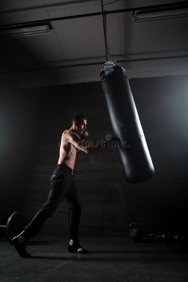 Young boxer stock photo. Image of healthy, studio, athlete - 53841394