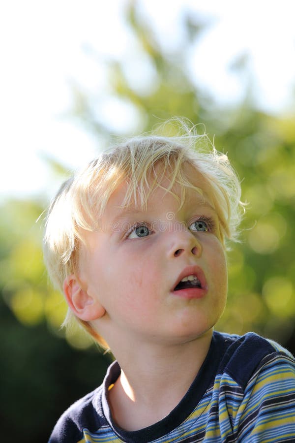Young boy stock image. Image of happiness, nature, little - 20513141