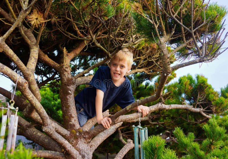 Boy Climbing Tree stock photo. Image of branch, climb - 96836084