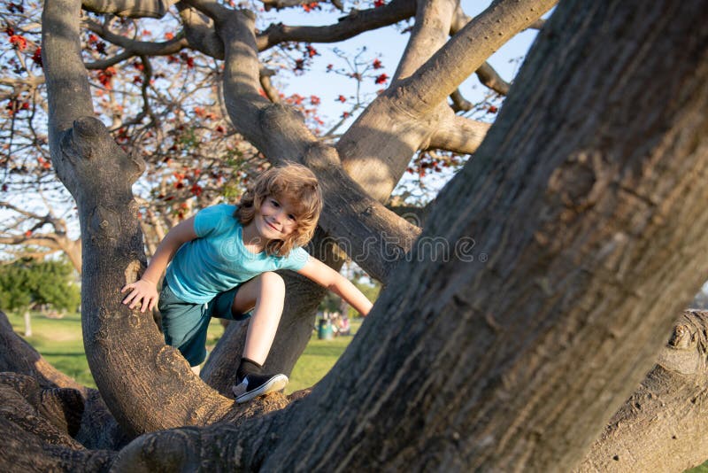 Young Boy Climbs a Tree. Kid Resting on a Branch. Stock Image - Image ...