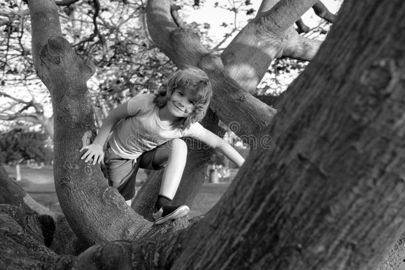 Young Boy Climbs a Tree. Kid Resting on a Branch. Stock Photo - Image ...
