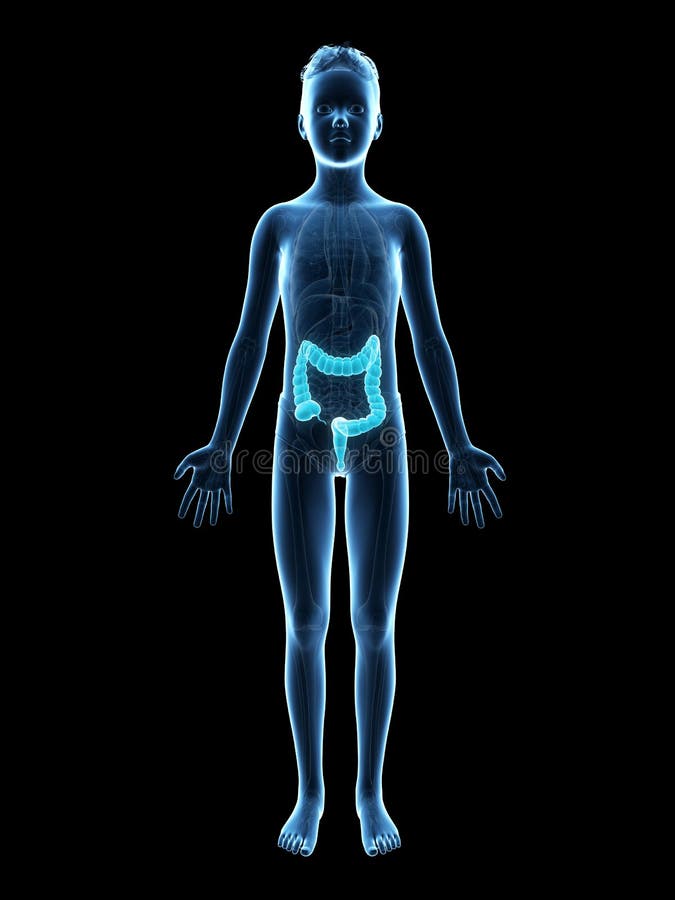 Young Boy Colon Stock Illustrations – 38 Young Boy Colon Stock ...