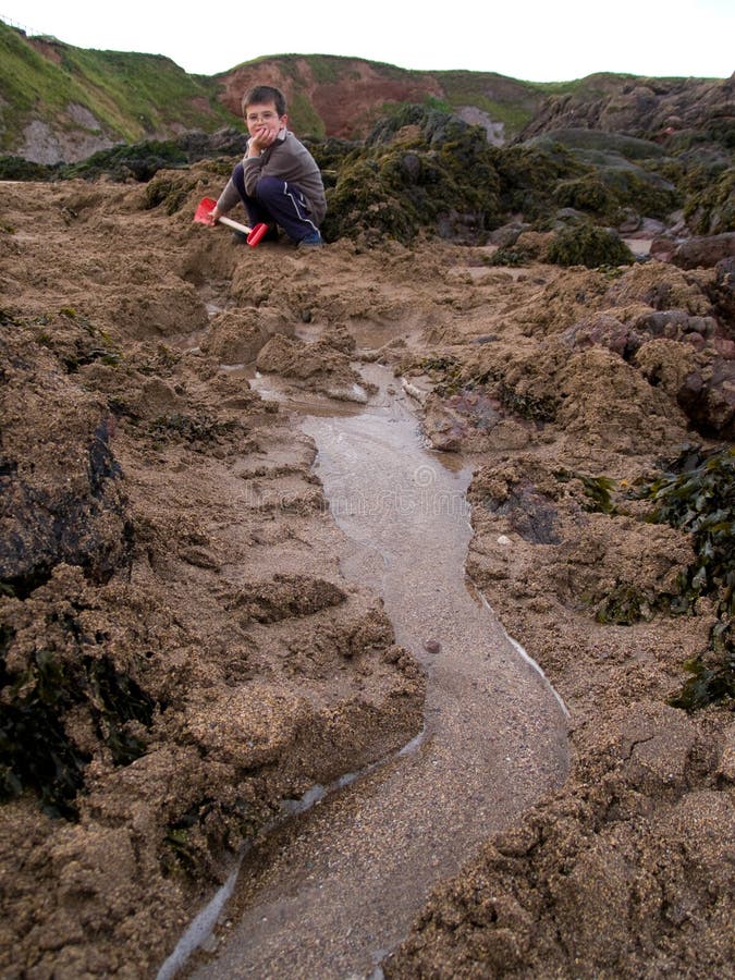 Young Boy Digging stock image. Image of young, sand, lifestyle - 24360919
