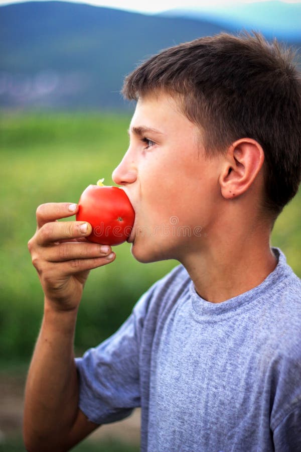 Young Boy Eating Fresh Tomato Stock Image - Image of green, male: 40989085
