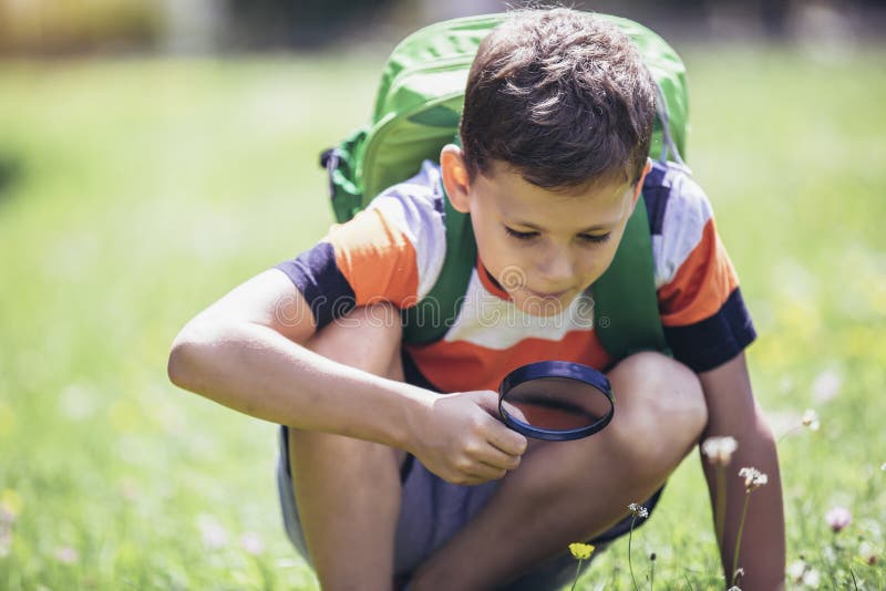 Boy Exploring Nature in a Meadow with a Magnifying Glass Stock Photo ...