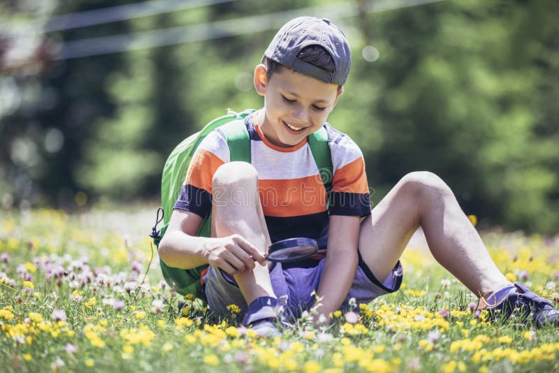 Boy Exploring Nature in a Meadow with a Magnifying Glass Stock Image ...