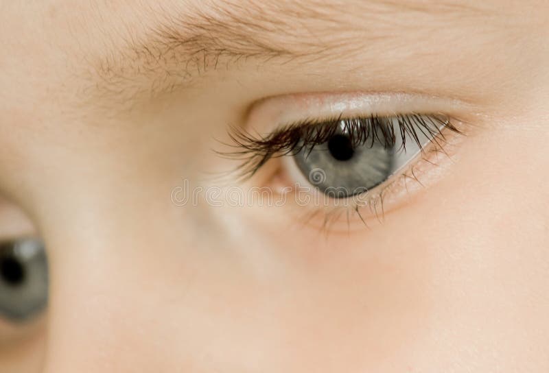 Young boy eyes stock photo. Image of young, soft, thoughtfully - 8632296