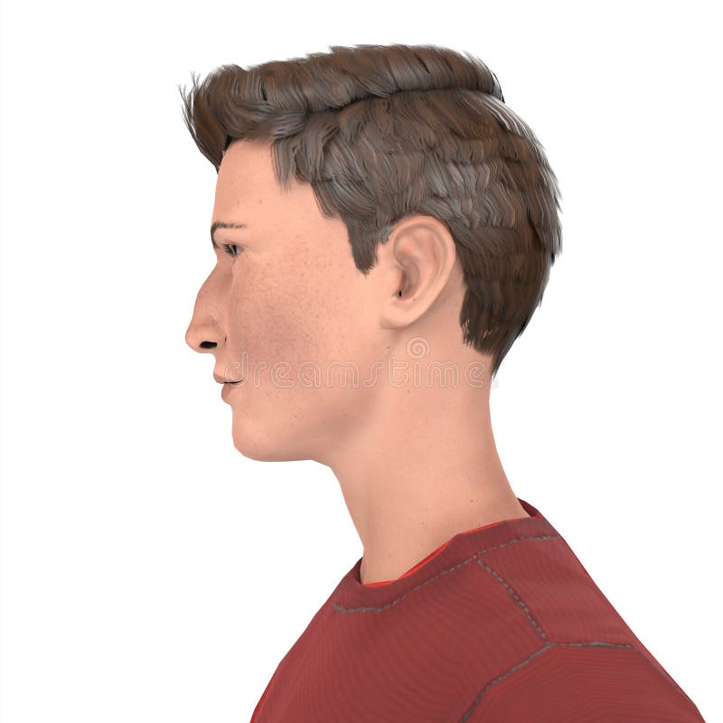 Young Boy Face Looking Left 3d Modelling Stock Illustration ...