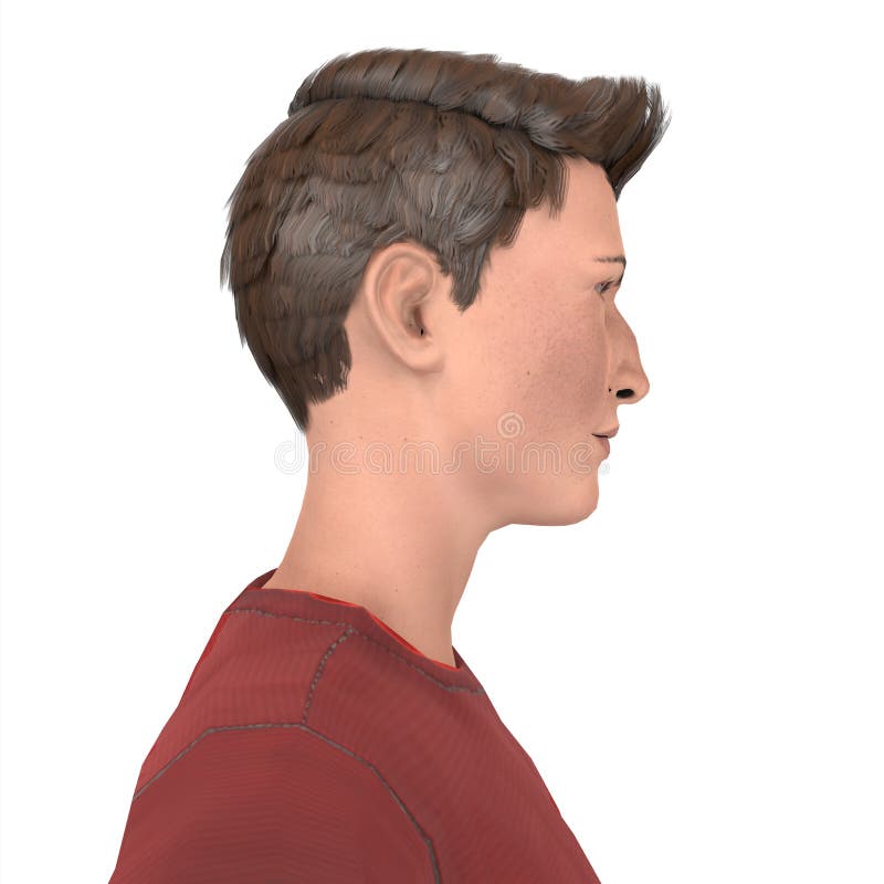 Young Boy Face Looking Right 3d Modelling Stock Illustration ...