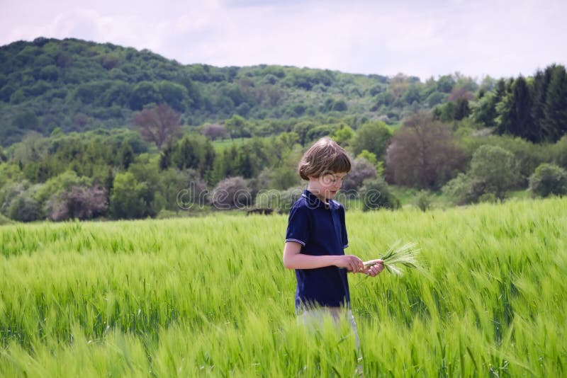 Young boy in a field stock image. Image of land, beauty - 27650387