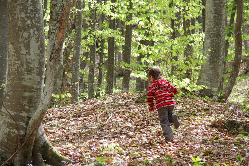 Young boy in forest stock photo. Image of lifestyle, active - 24473526