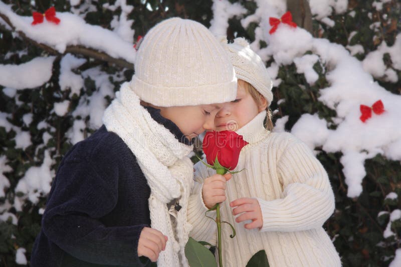 424 Little Boy Girl Red Rose Stock Photos - Free & Royalty-Free Stock ...
