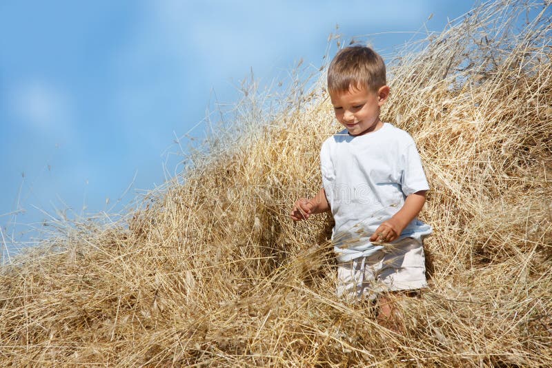 Young boy in haystack stock image. Image of rural, enjoy - 19666199