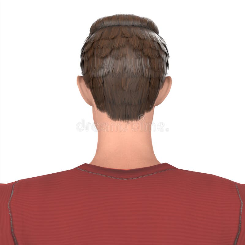 Young Boy Head Back Side 3d Modelling Stock Illustration - Illustration ...