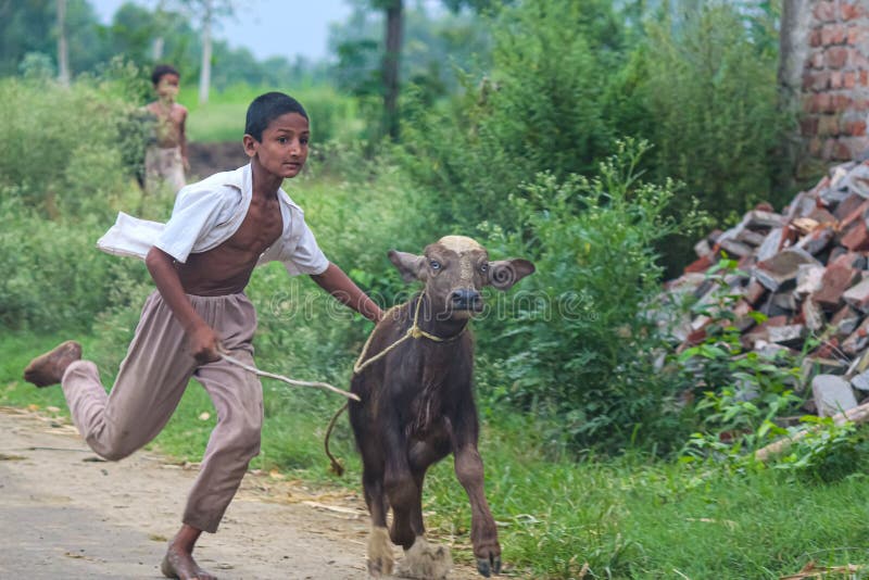 Dog Running Behind Bike Stock Photos - Free & Royalty-Free Stock Photos ...