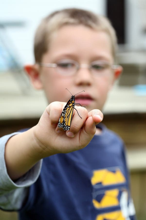 Young Boy Holding Monarch Butterfly Stock Photo - Image of monarch ...