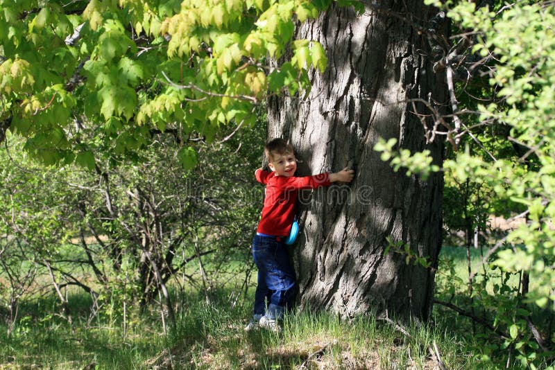 Child holding tree stock photo. Image of outdoors, dress - 4466864