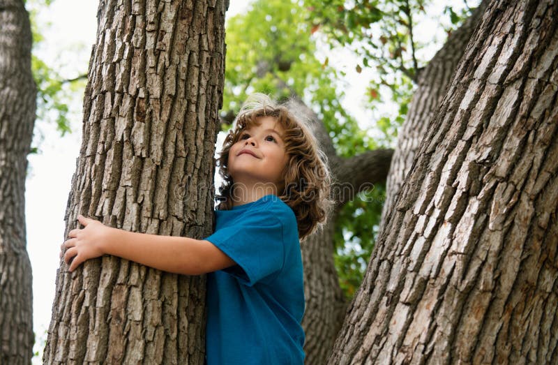 Young Boy Hugging a Tree Branch. Little Boy Kid on a Tree Branch. Child ...