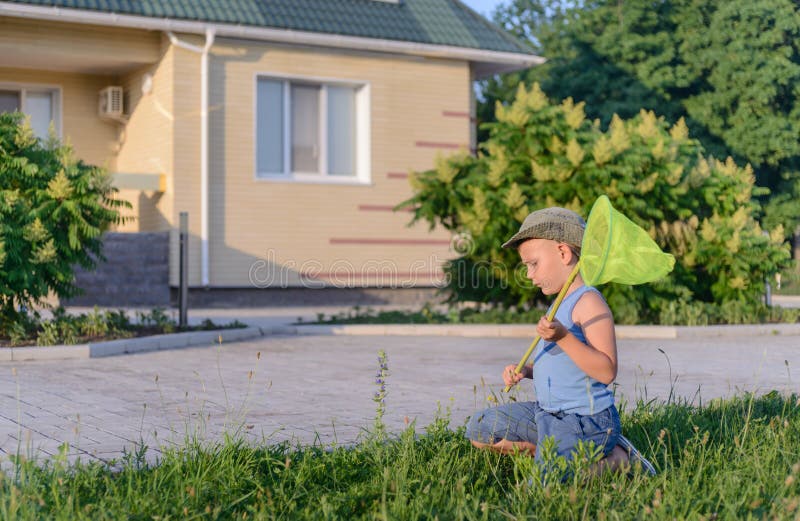 Young Boy Kneeling on Lawn with Bug Net Stock Image - Image of interest ...