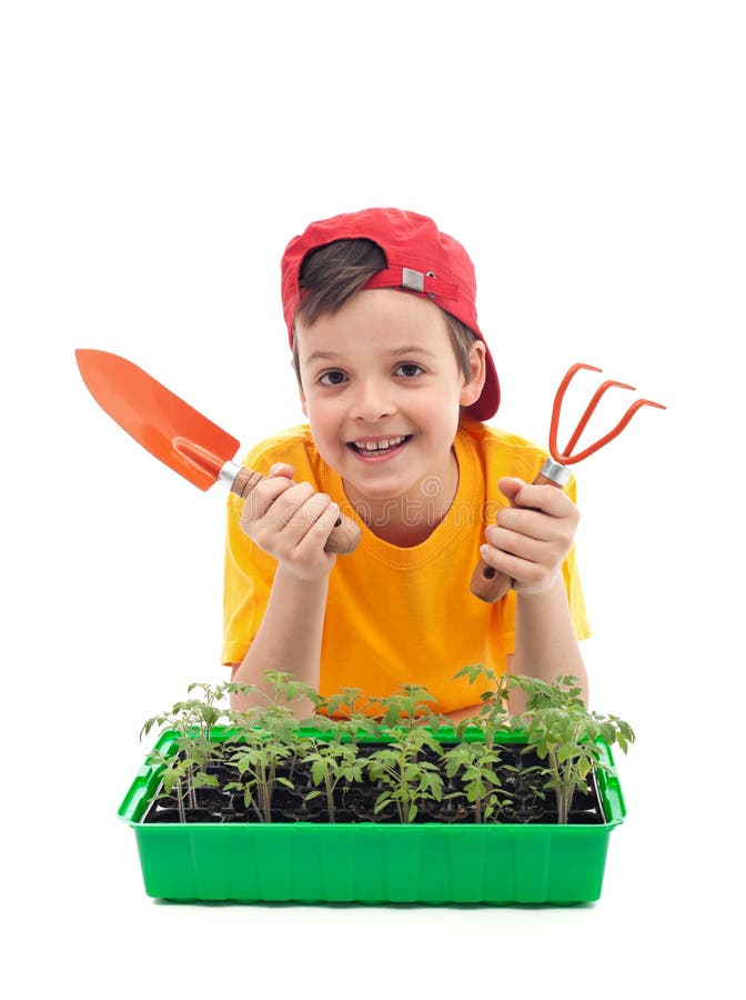 Young Boy Learning To Grow Food Stock Image - Image of growth ...