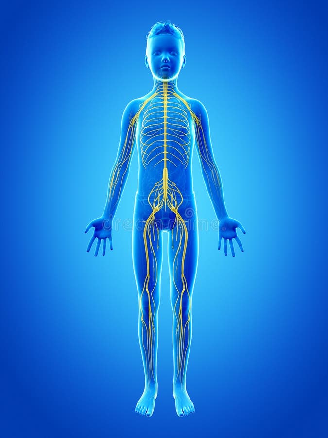 82+ Boy system Free Stock Photos - StockFreeImages