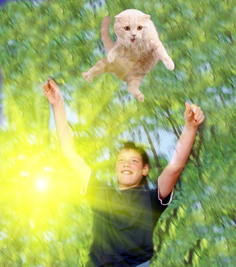 Young boy and pet cat stock photo. Image of youth, kitten - 20091484