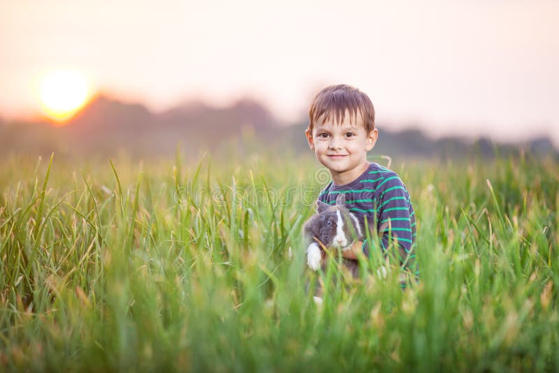 Young Boy with a Pet Rabbit in a Field Stock Photo - Image of cute ...