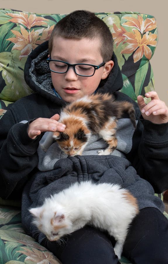 Young Boy with Pets Cuddle E Active Kittens Stock Image - Image of ...
