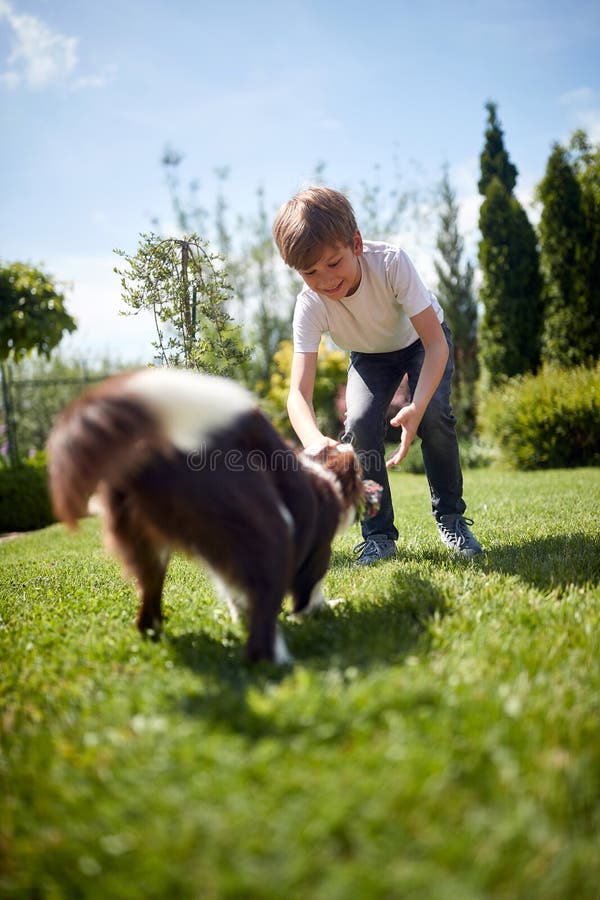 Young Boy Playing with the Dog Stock Image - Image of game, devotion ...