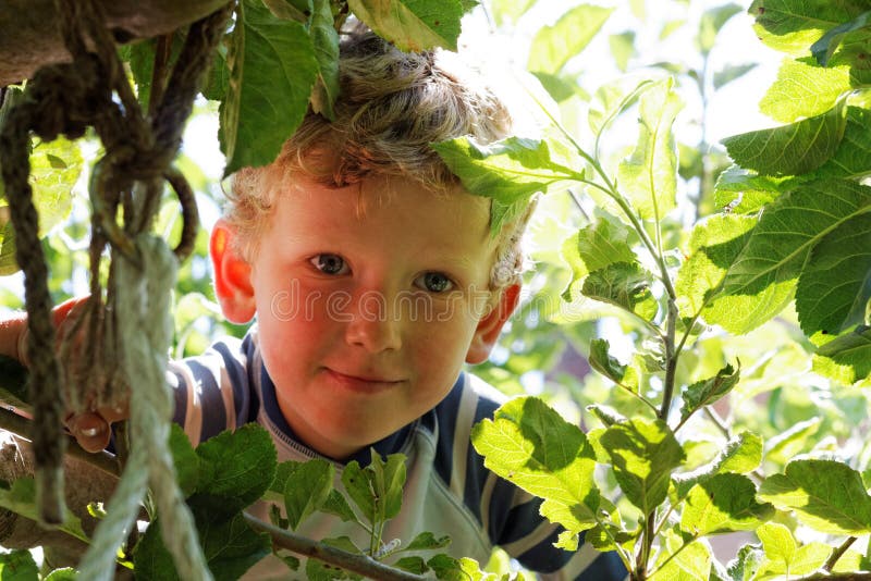 Young Boy Playing in Tree stock image. Image of summer - 59868891