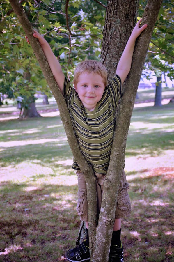 Kid playing in a tree stock photo. Image of children - 74726078