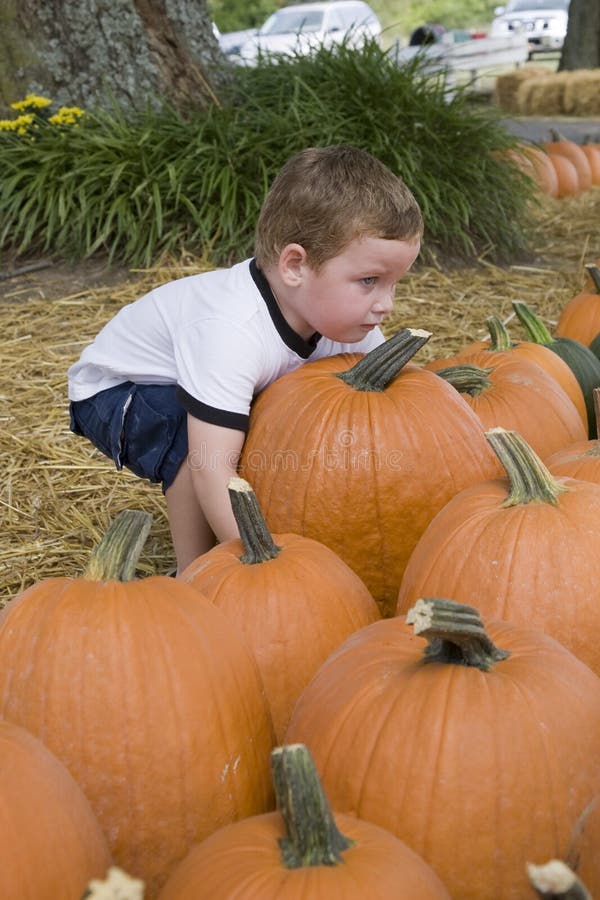 Pumpkin Love stock image. Image of child, fall, children - 4331663
