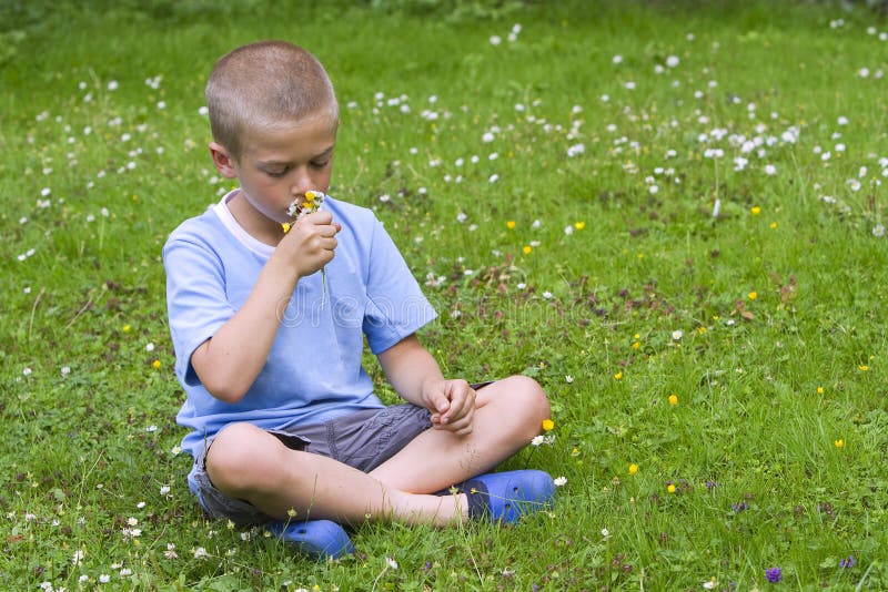 Young Boy Sitting in a Meadow Stock Photo - Image of green, pleasure ...