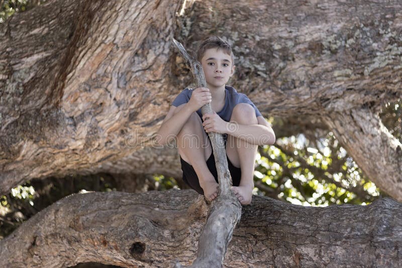 Young boy in tree stock image. Image of life, family - 194479375